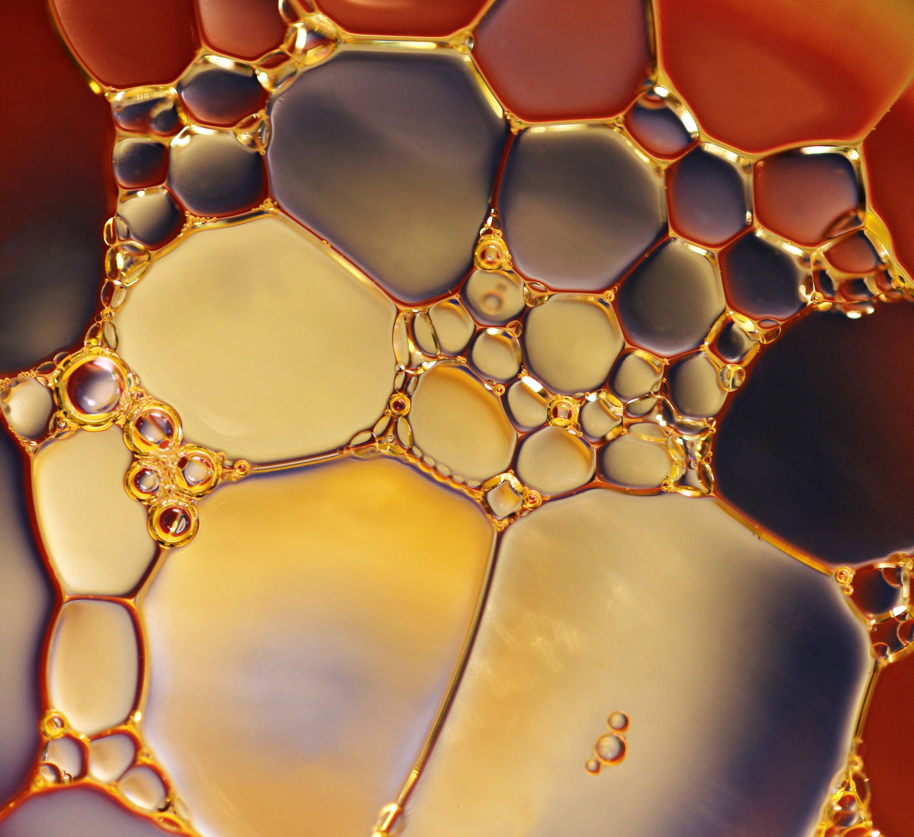 SYN-Coll: A collagen-boosting peptide – AXIS-Y